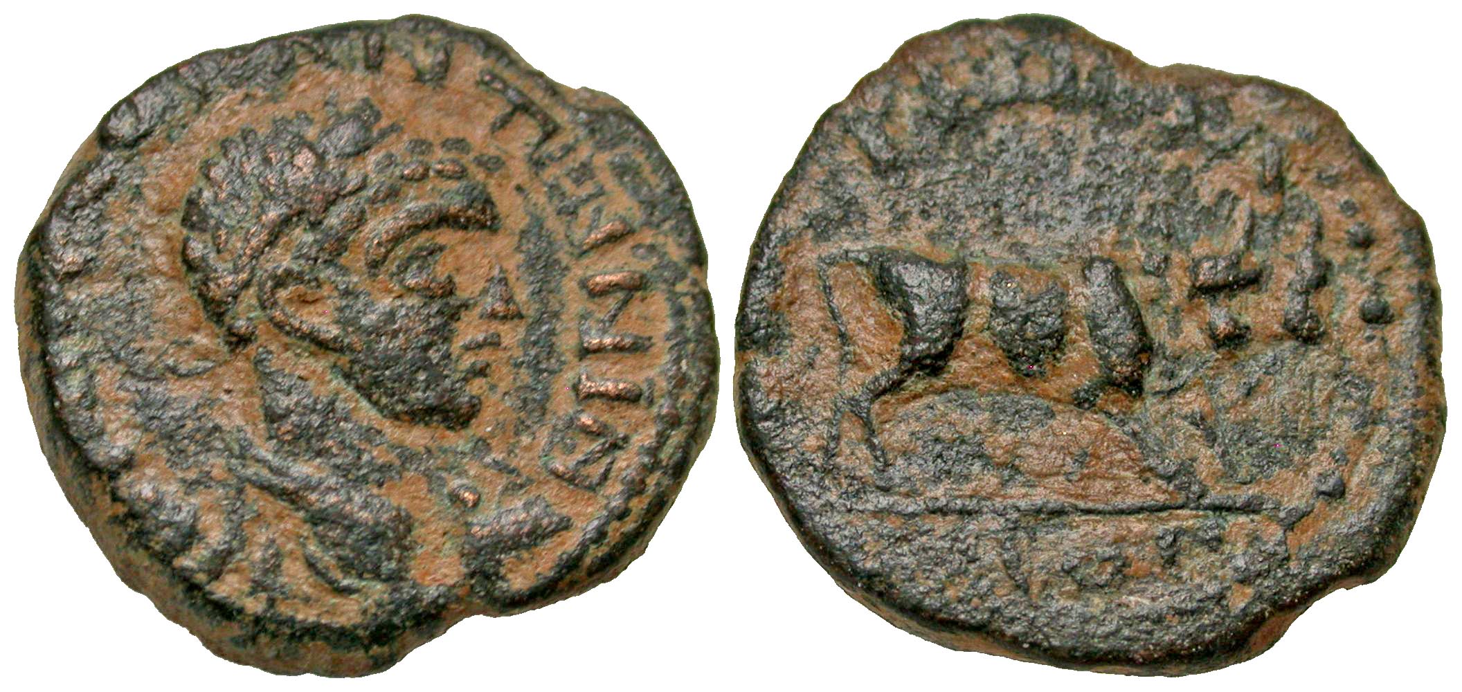 Arabia Petraea, Petra. Elagabalus. A.D. 218-222. AE 21. - Agora Auctions