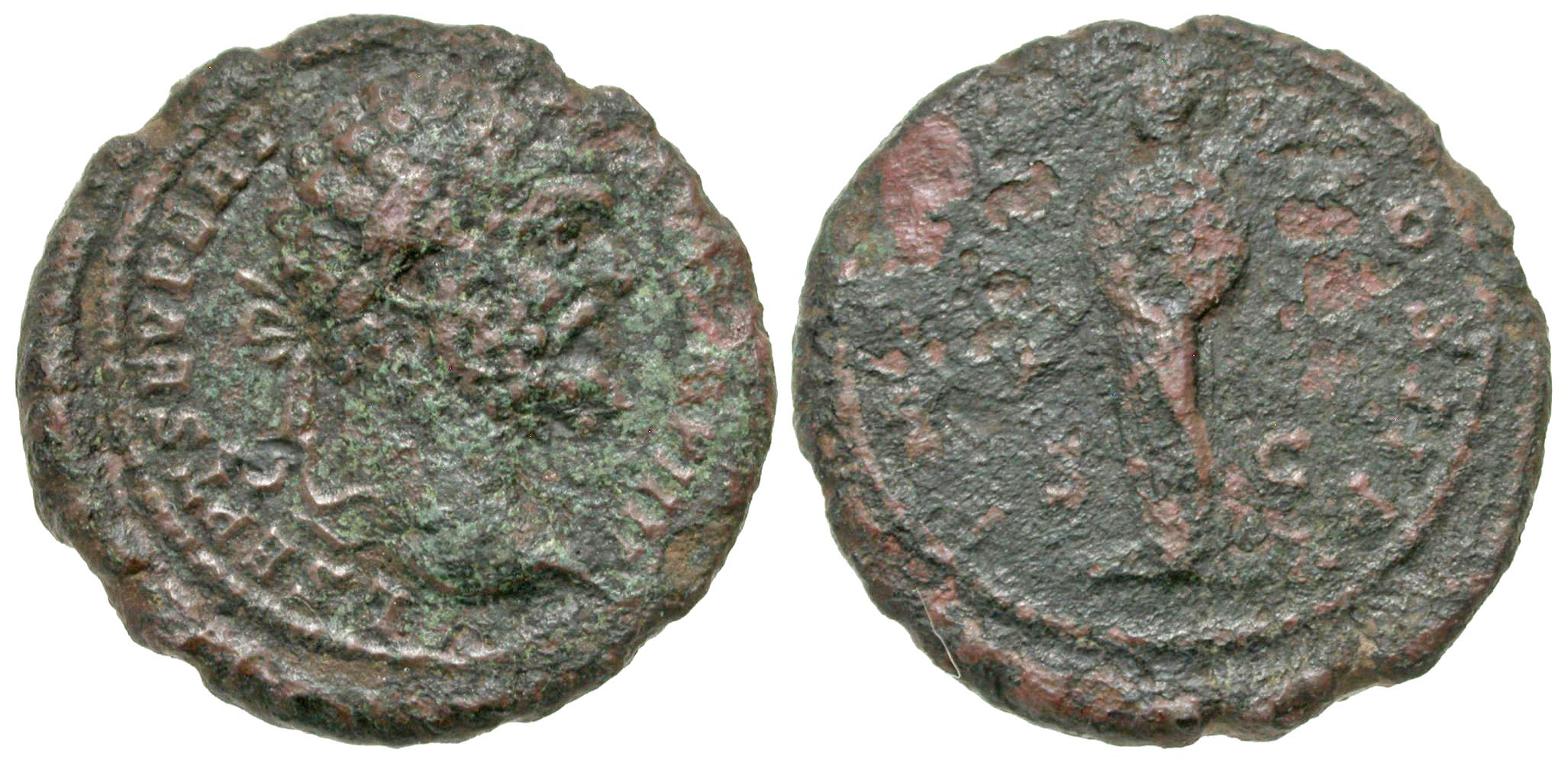 Septimius Severus. A.D. 193-211. AE as. Rome mint, struck A.D. 194-195 ...