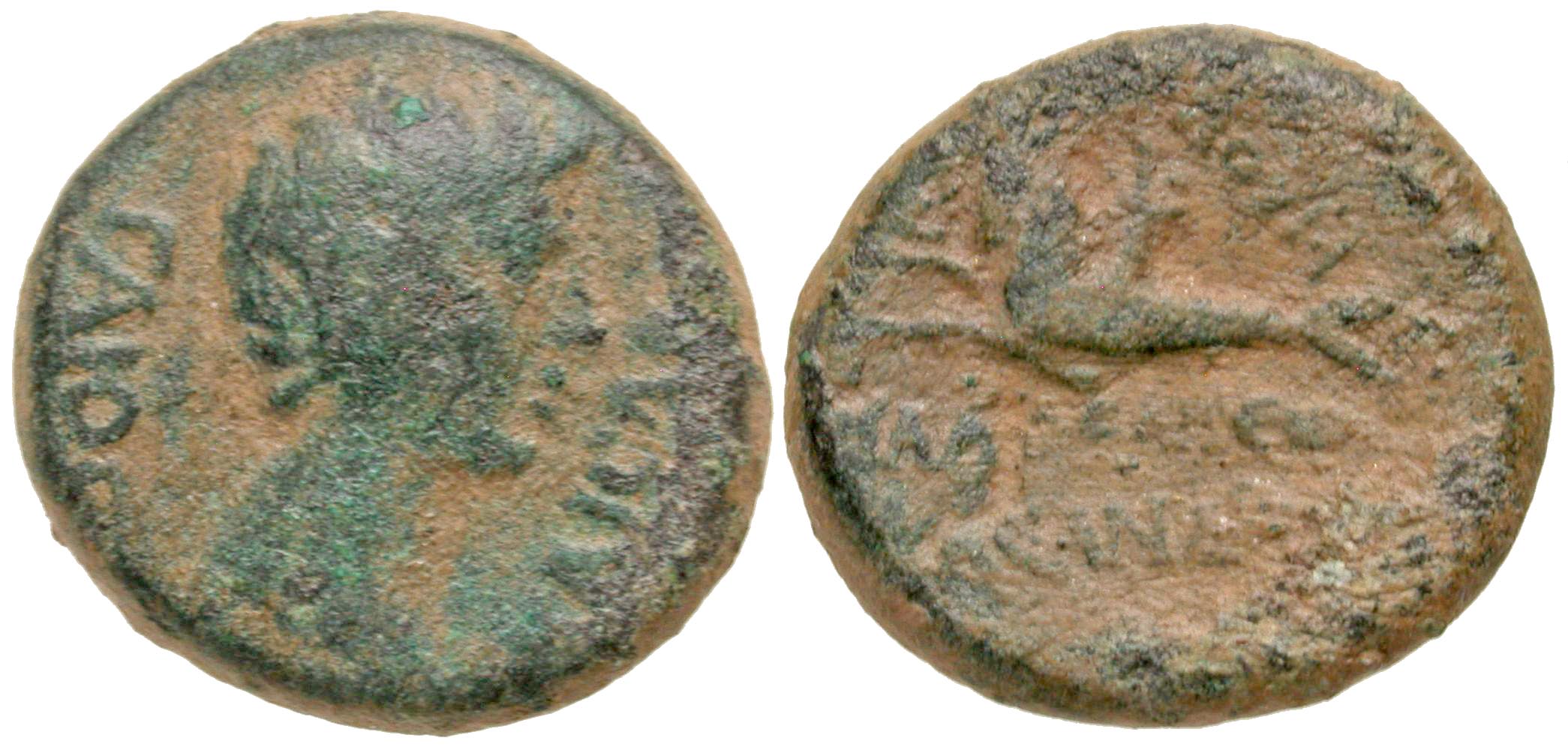 Lydia, Philadelphia. Gaius Caligula. A.D. 37-41. AE 18. Kleandros ...