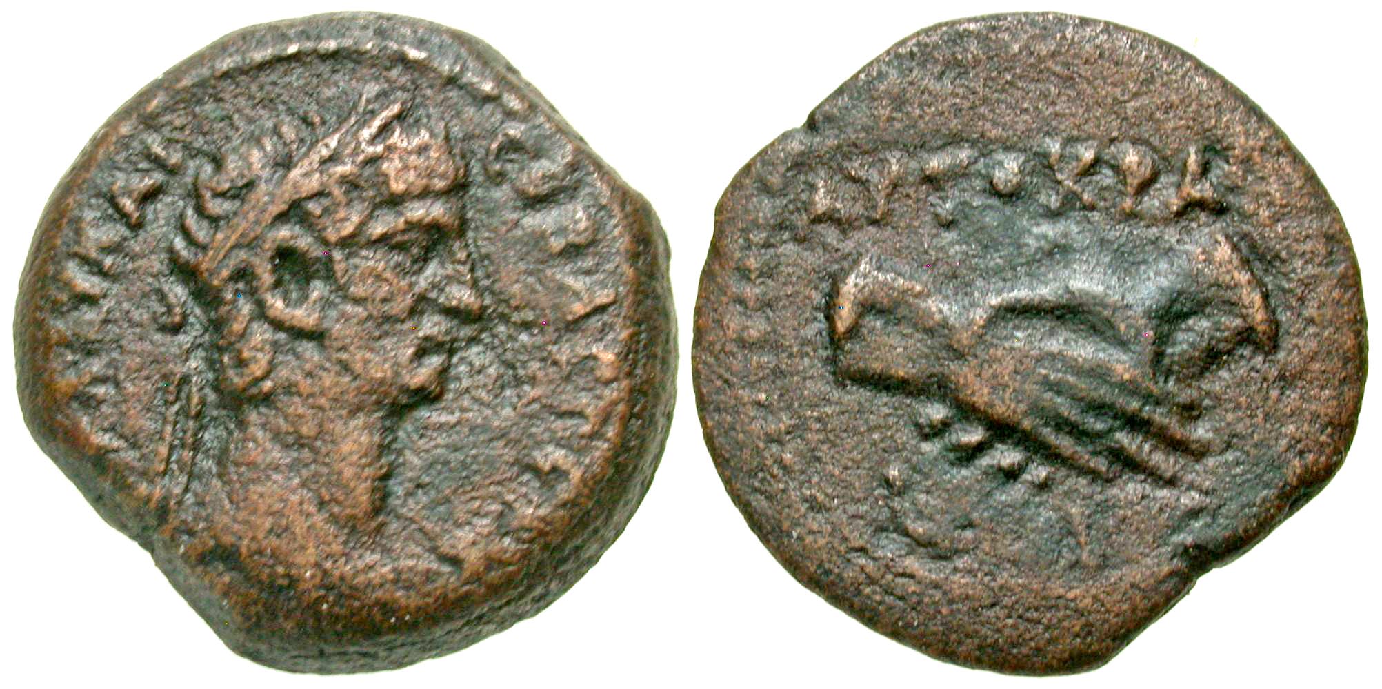 Egypt, Alexandria. Claudius. A.D. 41-54. AE obol. Dated RY 10 (A.D. 49/ ...